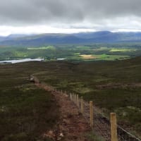 Matthew Boag, Perth | Fencing Contractors - Yell