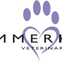 Summerhill Vets, Newport | Vets - Yell