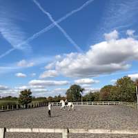 Murcot Farm Livery Stables, Broadway | Stables - Yell