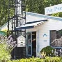 Pet Pavilion, London | Pet Supplies - Yell