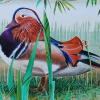 Rosemary Pocock Artist, Chichester | Artists - Yell