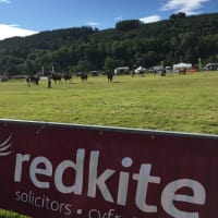 Redkite Solicitors | Solicitors - Yell