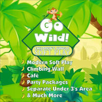 Go Wild Soft Play, Maesteg | Children's Activity Centres - Yell