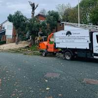 MH Treecare, Congleton | Tree Surgeons - Yell