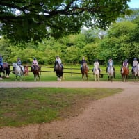 Penycoed Riding Stables & Riding Centre, Oswestry | Riding Schools - Yell