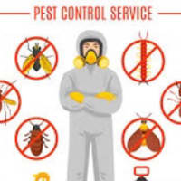 Pest Busters | Pest & Vermin Control Services - Yell