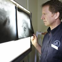 Copthorne Veterinary Clinic, Shrewsbury | Vets - Yell