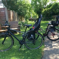 Parrett Trail Bikes, Langport | Cycle Hire - Yell