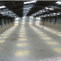 Salter Royd Riding School, Bradford | Riding Schools - Yell