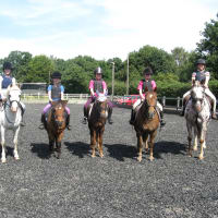 Laris Farm Equestrian, Woking | Riding Schools - Yell