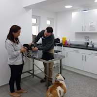 Natterjacks Vet, Poole | Vets - Yell