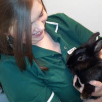 Castle Vets Pet Healthcare Centre, Reading | Vets - Yell