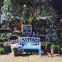 The Flower Station, London | Florists - Yell