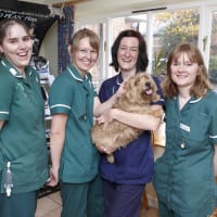 Copthorne Veterinary Clinic, Shrewsbury | Vets - Yell