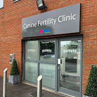 GoVets, Manchester | Vets - Yell