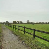 Stockley Farm Livery, Warrington | Stables - Yell