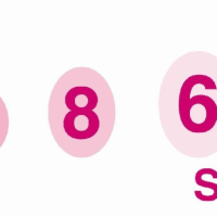 786 Services Ltd, London | Commercial Cleaning - Yell