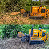 Yorkshire Tree Surgery, Hull | Tree Surgeons - Yell