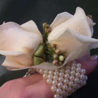 O L Flowers, Armagh | Florists - Yell