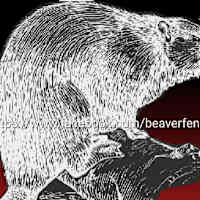 Beaver Fencing | Fencing Contractors - Yell