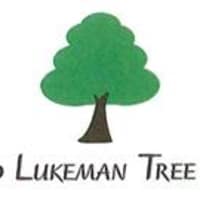 David Lukeman Tree Care, Birmingham | Tree Surgeons - Yell