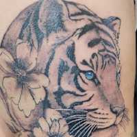 Tradskins Tattoo Studio | Tattooists - Yell