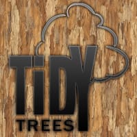 Tidy Trees, Nottingham | Tree Surgeons - Yell