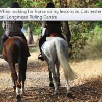 Longmead Riding Centre, Colchester | Horse Riding Lessons - Yell