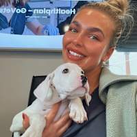 GoVets, Manchester | Vets - Yell