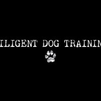 Diligent Dog Training, Stourbridge | Dog Trainers - Yell