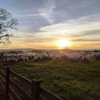 Clickham Inn, Penrith | Pub Restaurants - Yell