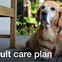 Tay Valley Veterinary & Equine Centre, Perth | Vets - Yell