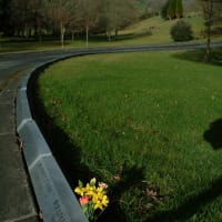 Parc Gwyn Crematorium, Narberth | Crematoria & Cemeteries - Yell