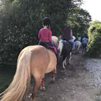 Goonbell Riding Centre, St. Agnes | Riding Schools - Yell