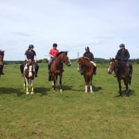 Aberdeen Riding Club, Milltimber | Riding Schools - Yell