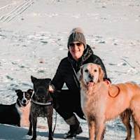 Kelly's K-9's, Seaham | Dog Walkers - Yell