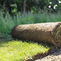 Sherborne Turf, Sherborne | Turf & Soil Supplies - Yell