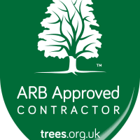 Teign Trees, Teignmouth | Tree Surgeons - Yell