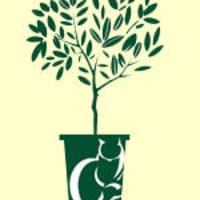 Bay Tree Cattery, Chichester | Catteries - Yell