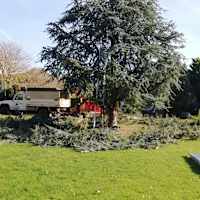 Oakwood Tree Care | Tree Surgeons - Yell
