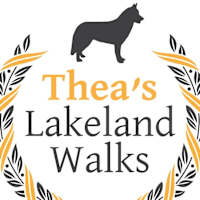 Thea's Lakeland Walks, Carlisle | Pet Services - Yell