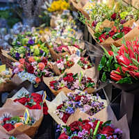 The Flower Station, London | Florists - Yell