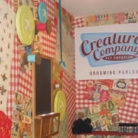 Creature Company, London | Pet Shops - Yell