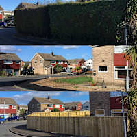 Yorkshire Tree Surgery, Hull | Tree Surgeons - Yell