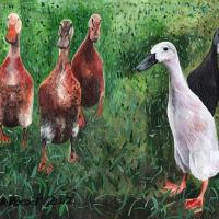 Rosemary Pocock Artist, Chichester | Artists - Yell