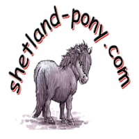 Shetland Pony, Orkney | Horse Supplies - Yell