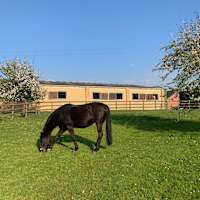 Murcot Farm Livery Stables, Broadway | Stables - Yell