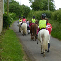 Pevlings Farm Riding & Livery Stables, Templecombe | Riding Schools - Yell