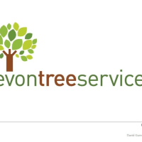 Devon Tree Services Ltd, Newton Abbot | Tree Surgeons - Yell