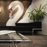 Swan Property Management, Crawley | Letting Agents - Yell